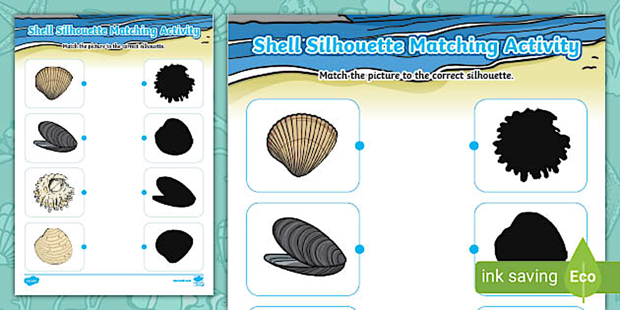 Shell Silhouette Matching Activity - Twinkl