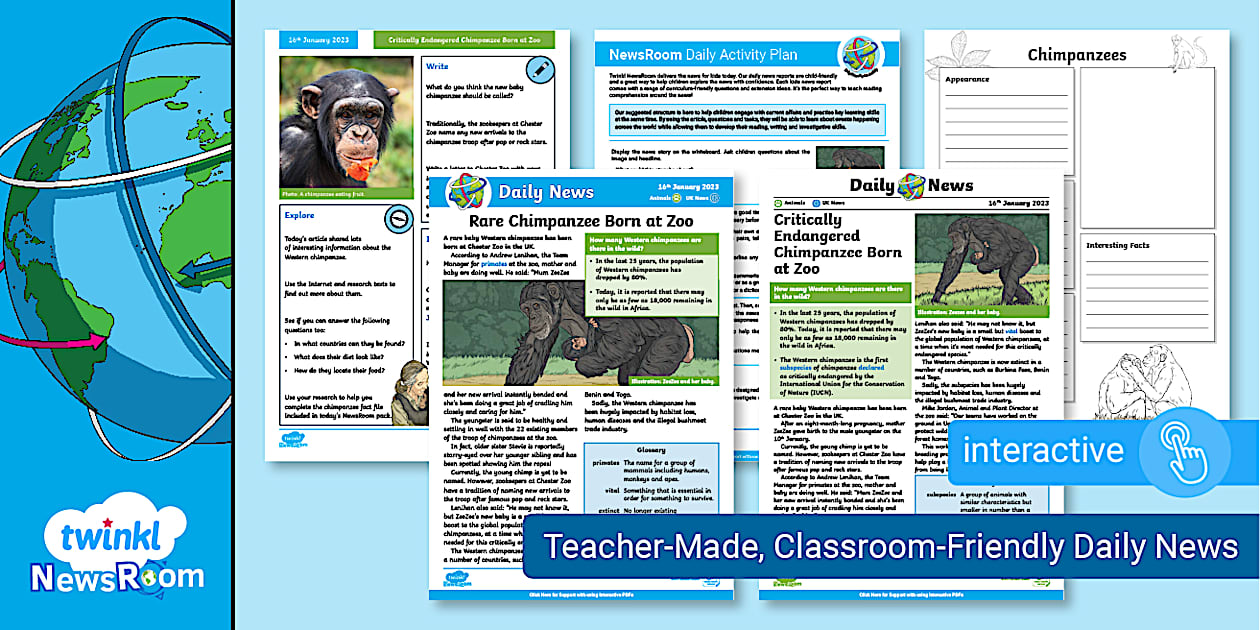 Critically Endangered Chimpanzee Born at Zoo | Twinkl Resources