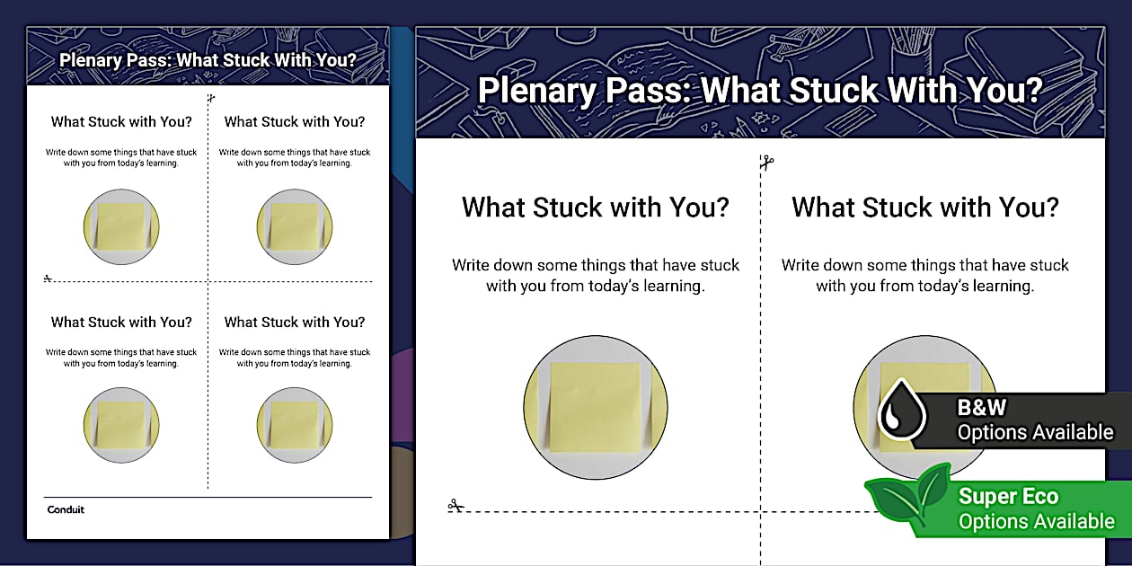Plenary Pass: What Stuck With You? (Teacher-Made) - Twinkl