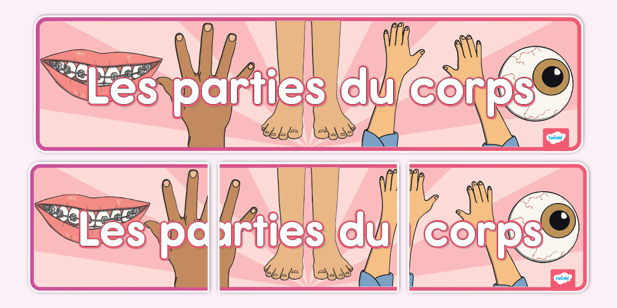 Bannière : Les parties du corps - Twinkl
