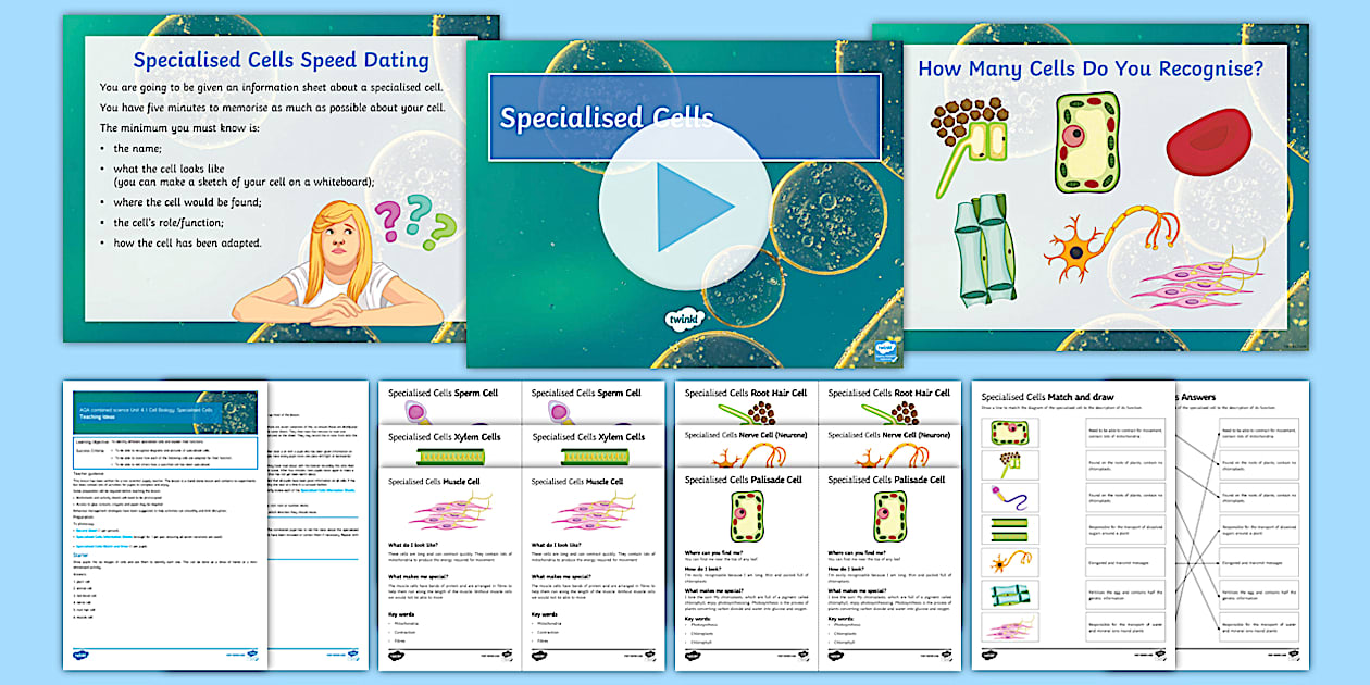 Specialised Cells Cover Lesson Pack | Science | Beyond