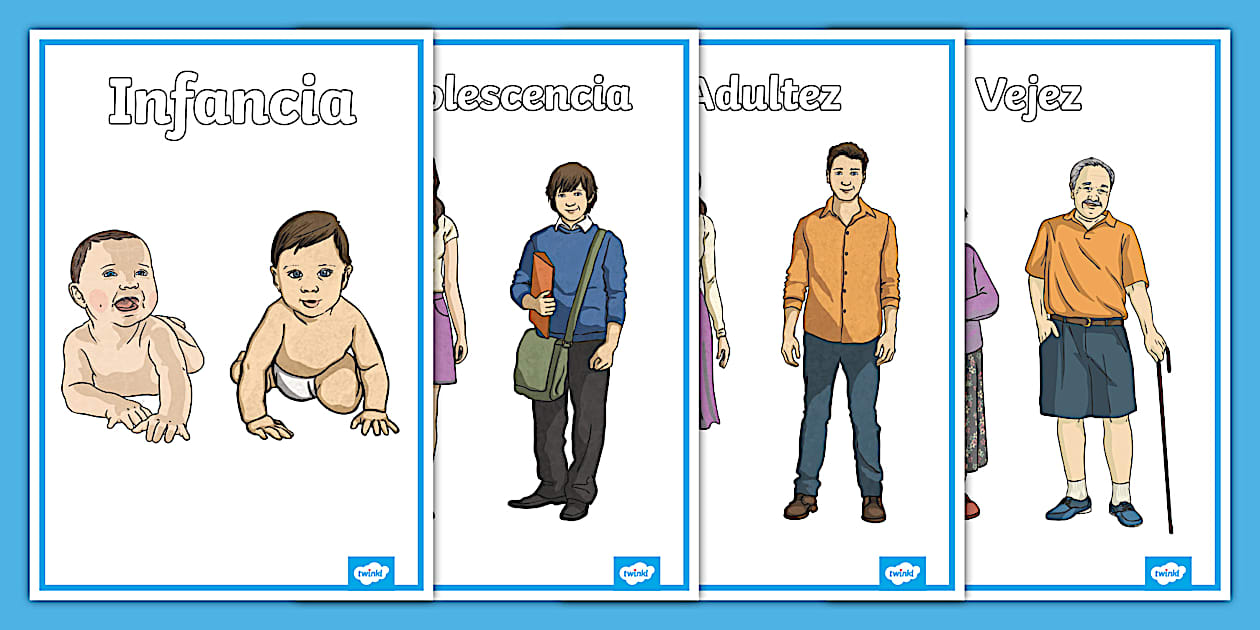 Póster: Etapas del desarrollo humano (teacher made)