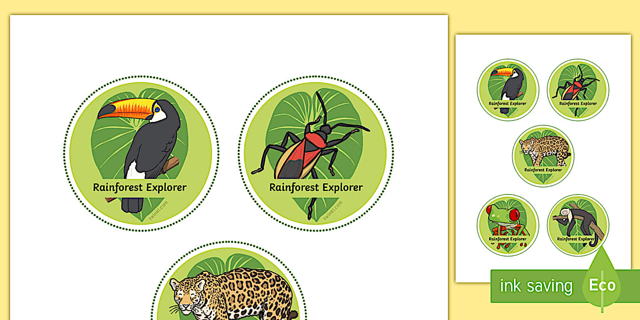 Rainforest Explorer Role Play Badges - Twinkl