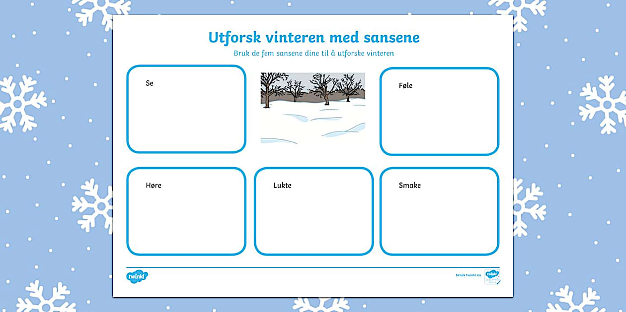Utforsk vinteren med sansene | Arbeidsark - Twinkl