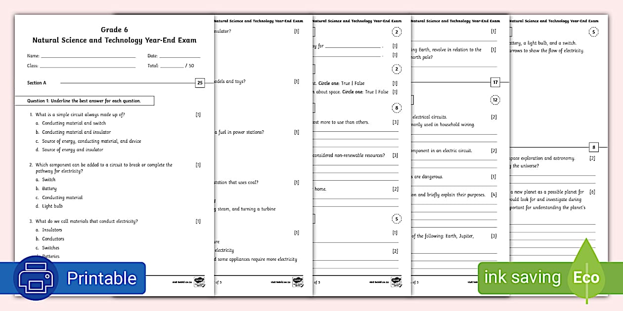 Grade 6 NS/Tech Year-end Exam | Senior Phase | Twinkl