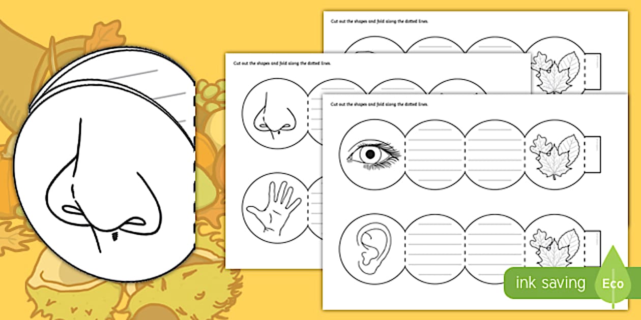 Autumn Senses Concertina Book Writing Frames (teacher made)