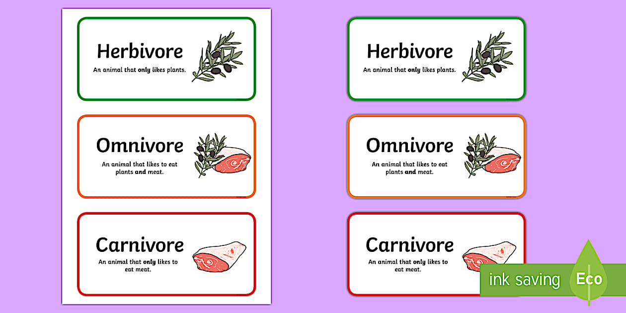 Precursive Herbivores Omnivores Carnivores Banner - Twinkl