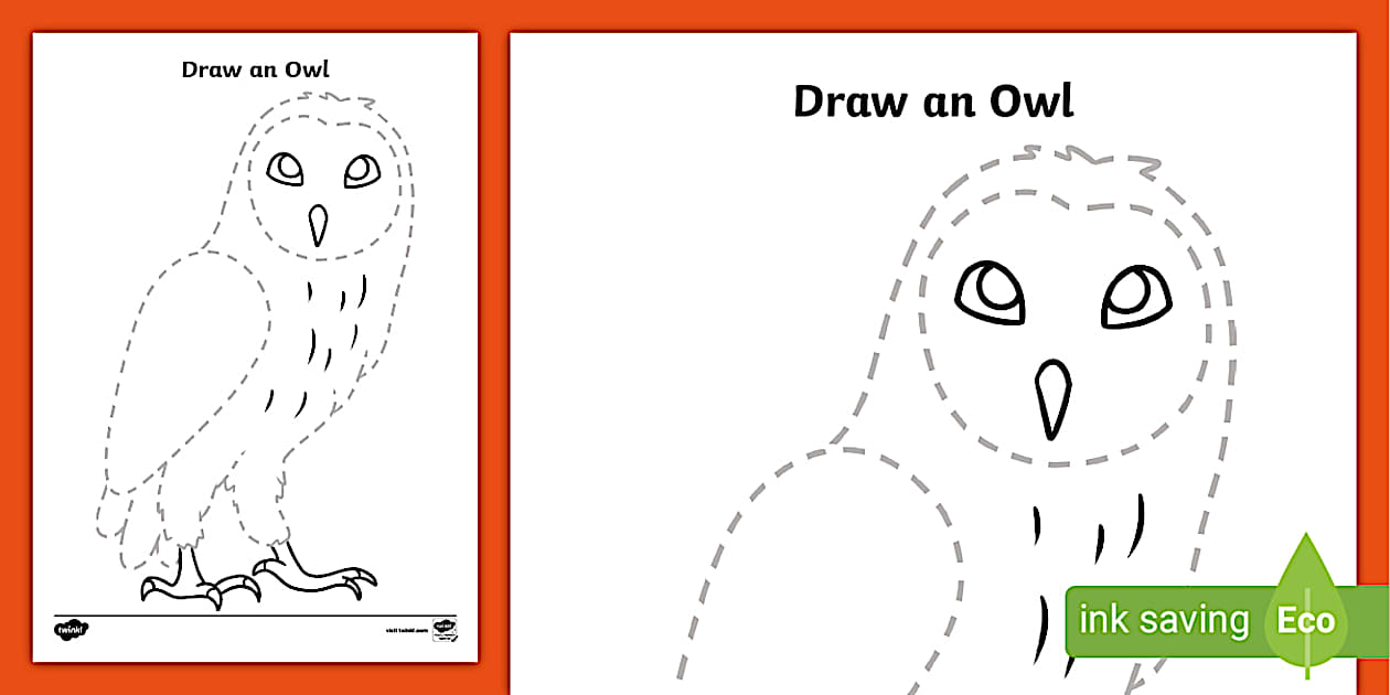EYFS Draw an Owl Pencil Control Activity (teacher made)