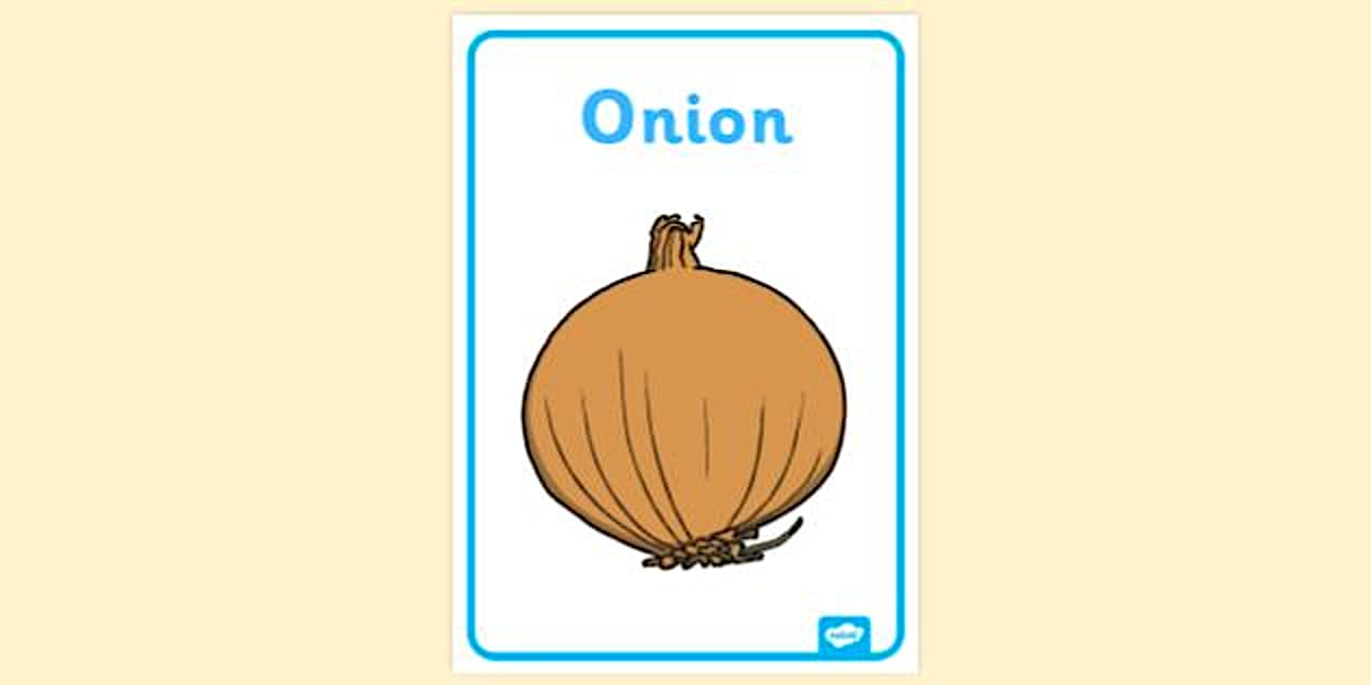 Onion Display Poster | Display Posters (teacher made)