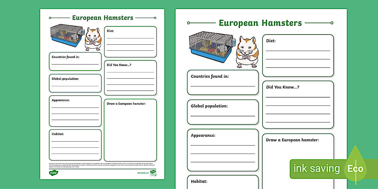 European Hamsters Fact File Template (teacher made) - Twinkl