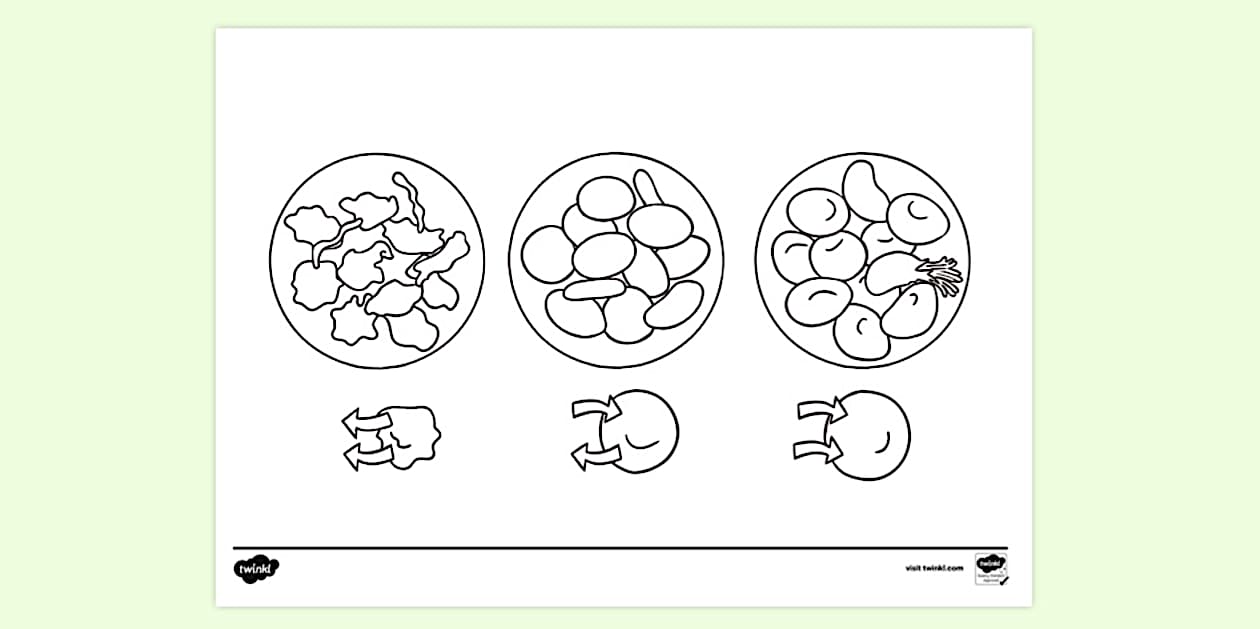 Osmotic Pressure on Blood Cells Colouring | Colouring Sheet