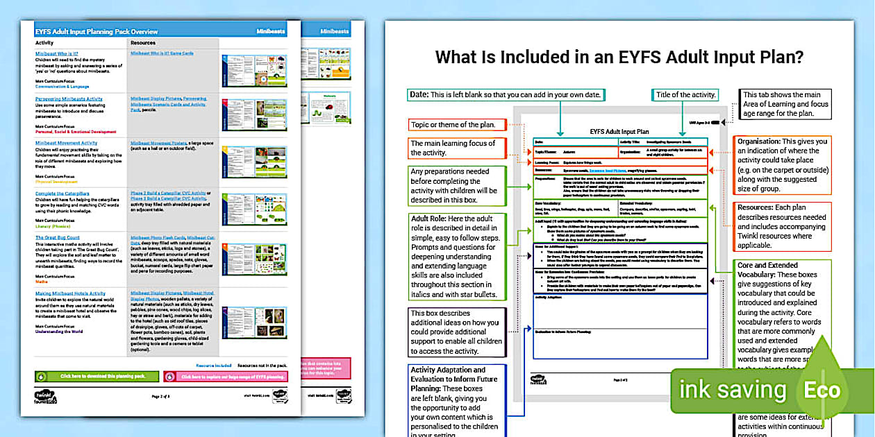 EYFS Minibeasts Adult Input Planning Overview (Reception)