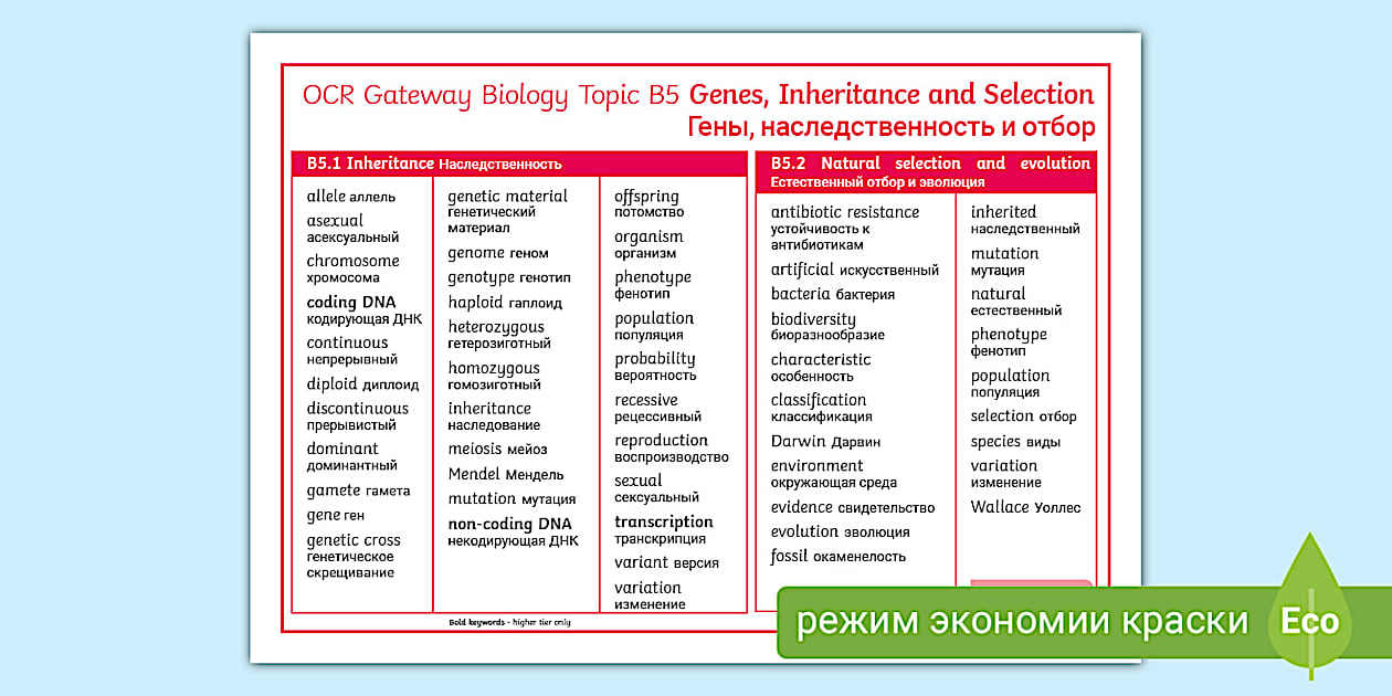 Biology Topic B5 Genes Inheritance and Selection Word Mat Russian ...