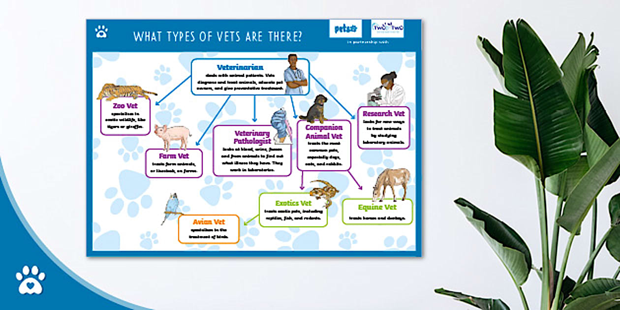 What Types of Vets are There? - Information Sheet - Pets