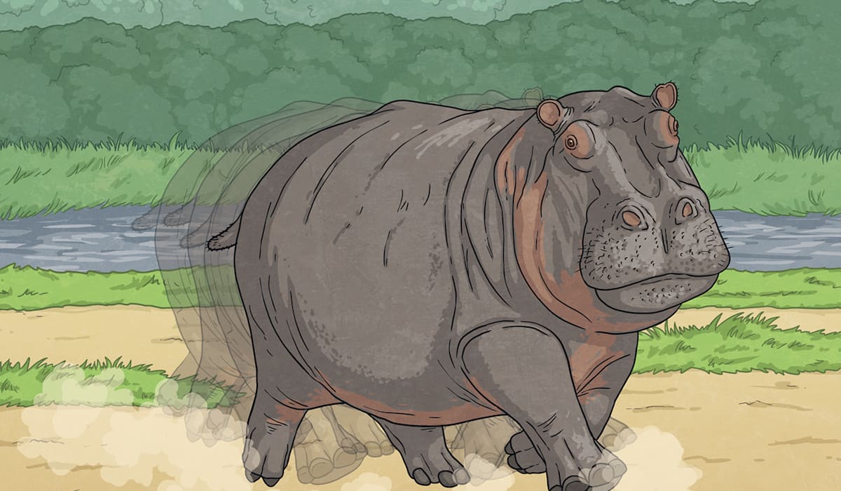 ‘Airborne’ High-Speed Hippos - Twinkl NewsRoom - Twinkl