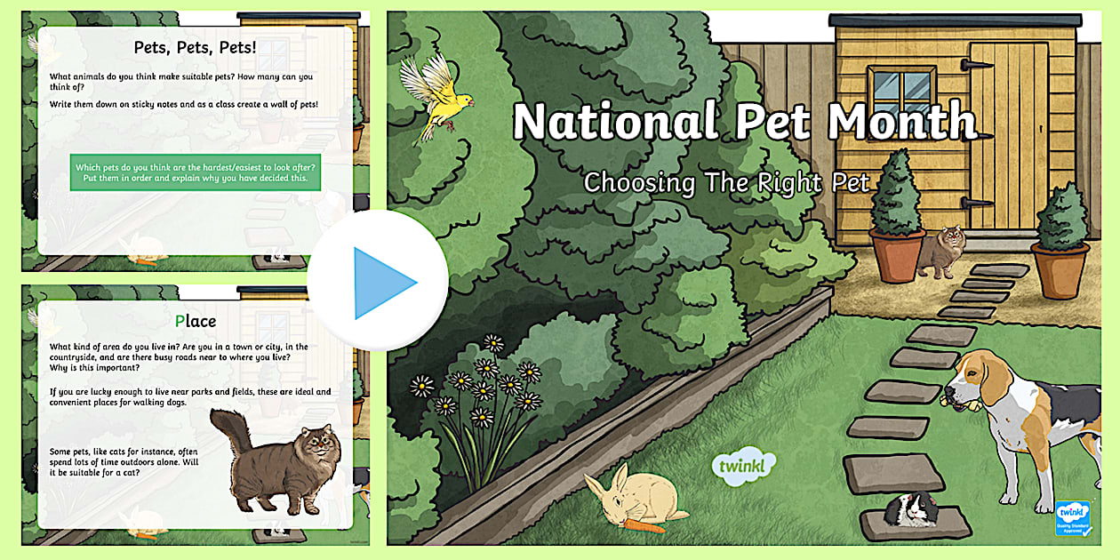 KS2 National Pet Month: Choosing The Right Pet PowerPoint