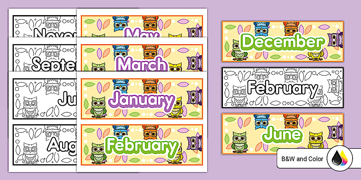 Adorable Owl Theme Months of the Year Bulletin Board Labels
