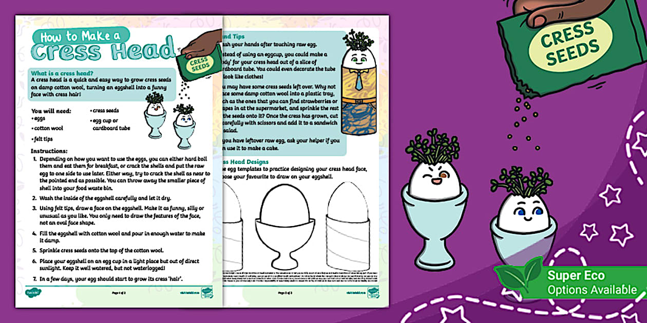 Make a Cress Head Activity Sheet (teacher made) - Twinkl