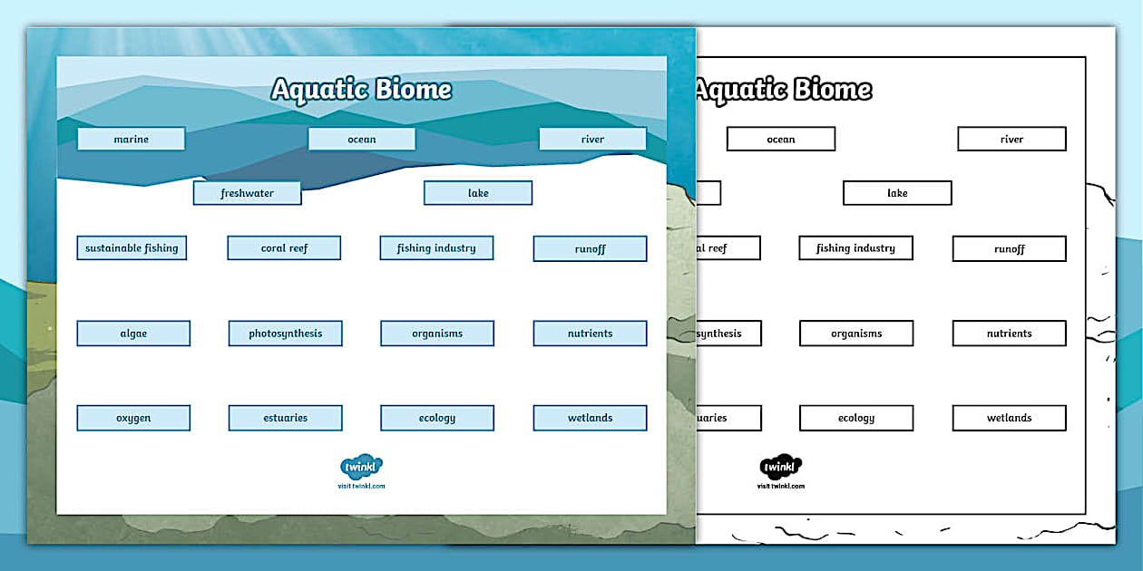 Aquatic Biome Vocabulary Mat - Twinkl