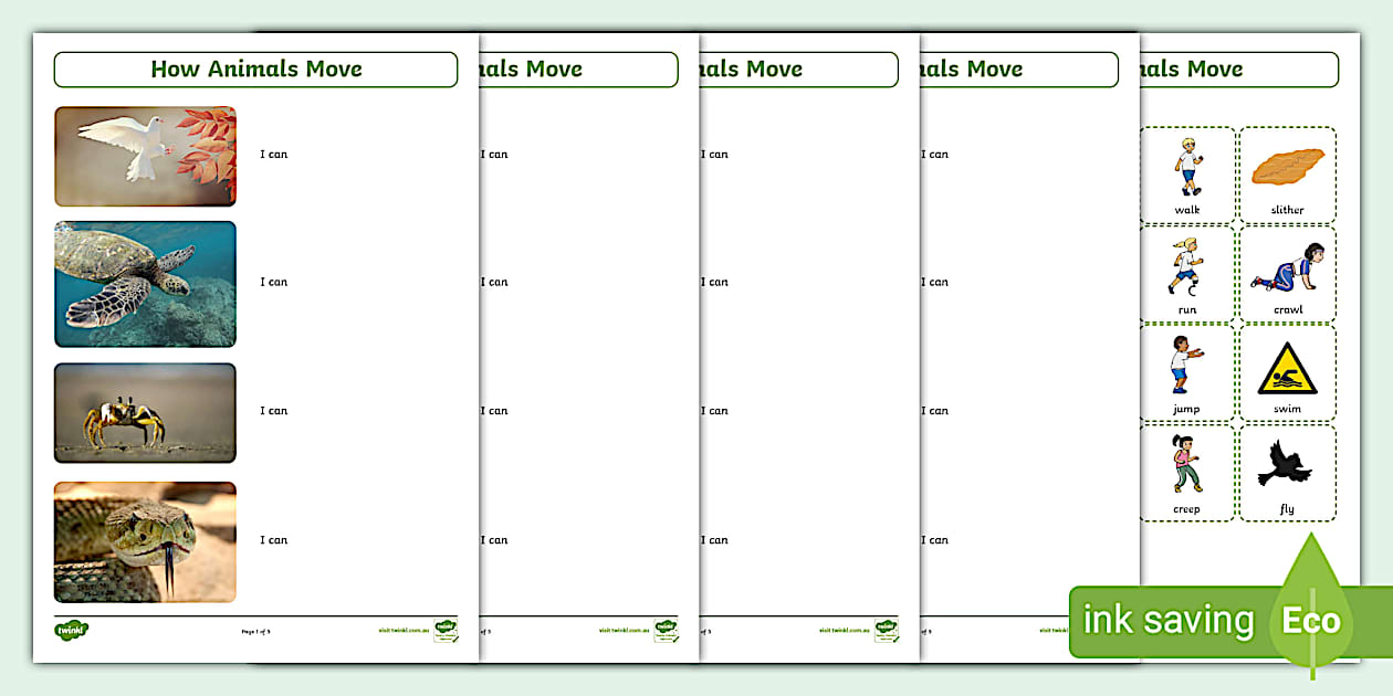 How Animals Move Worksheet (teacher made) - Twinkl