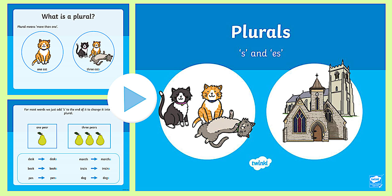Plurals s and es Teaching PowerPoint - Twinkl