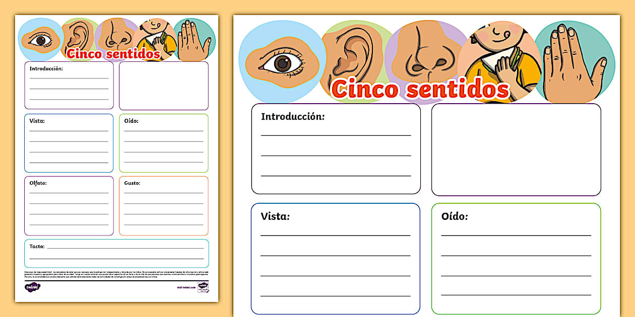 Ficha de actividad: Los cinco sentidos y sus funciones