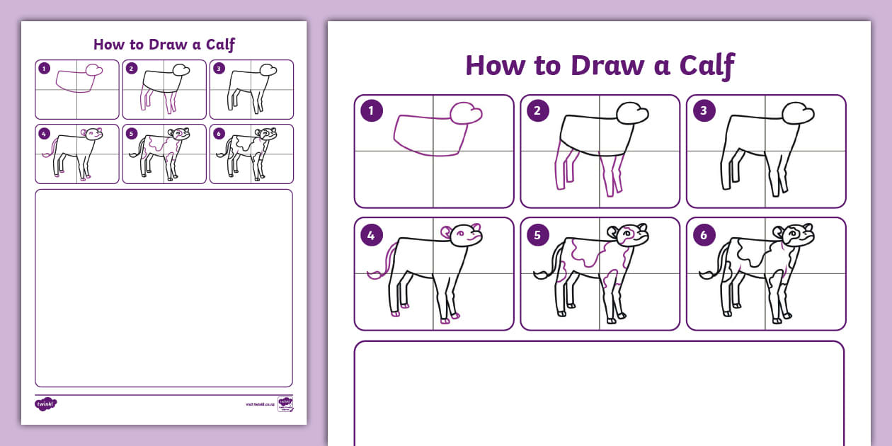 How to Draw a Calf