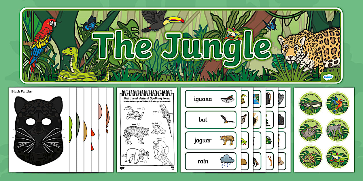 Jungle Explorers Role-Play Pack | Twinkl - Twinkl