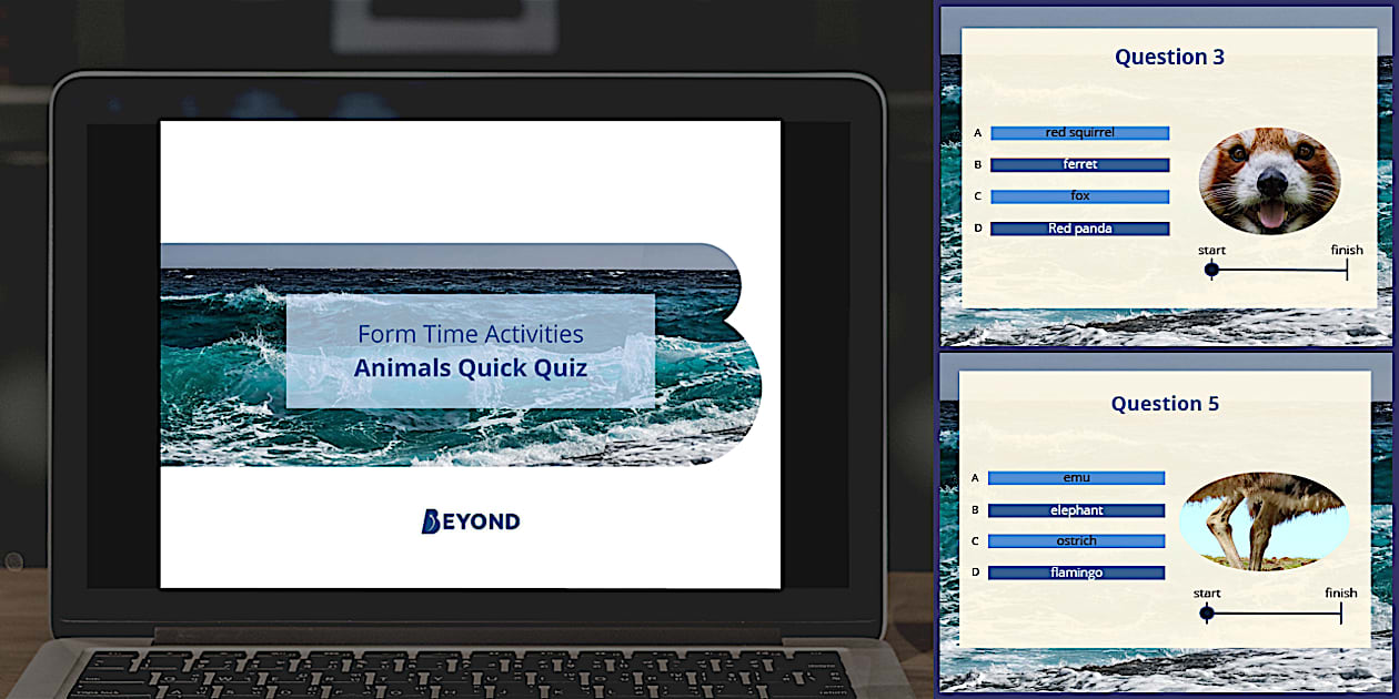 Form time Quick Animals Quiz | Tutor Time | Beyond - Twinkl