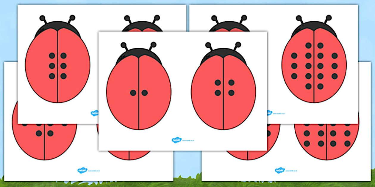 Ladybird Doubles Cut-Outs (M (teacher made) - Twinkl