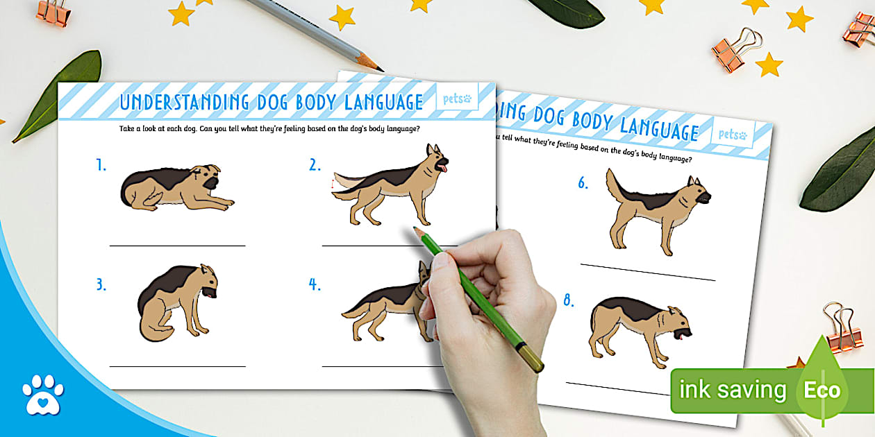 Understanding Dog Body Language - Activity Sheet - Twinkl