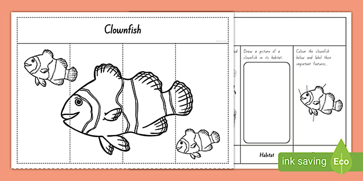 Clownfish Flap Book (teacher made) - Twinkl