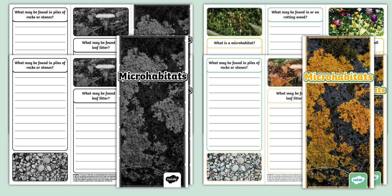 Microhabitats Leaflet Template (Hecho por educadores)