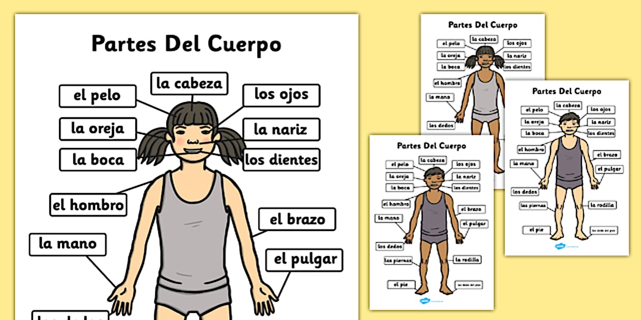 Body Labelled in Spanish - Parts of the Body A4 Spanish