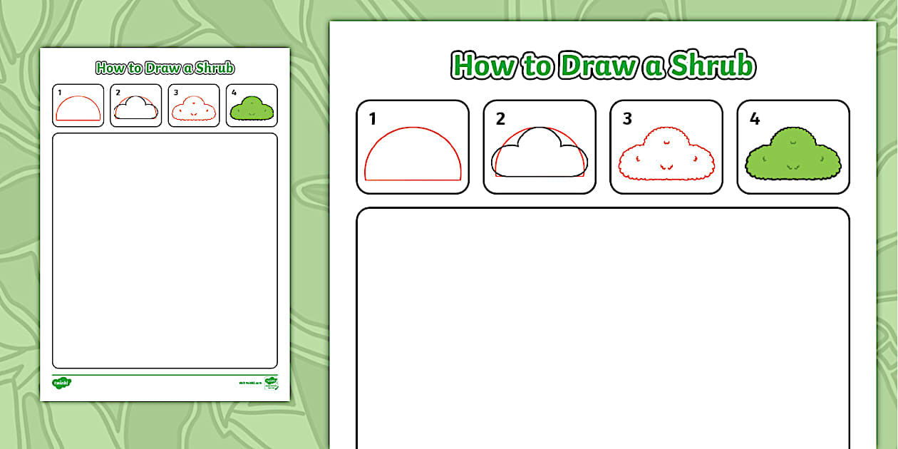 How to Draw a Shrub Activity Sheet (creat de profesori)