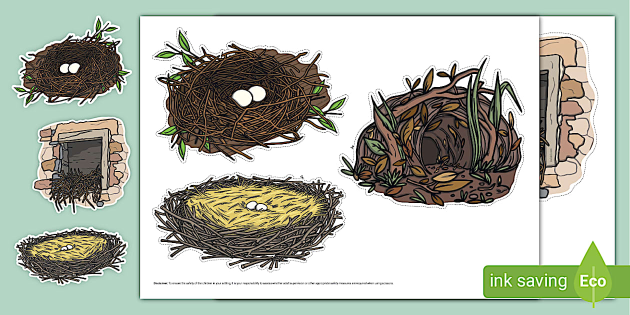 Nest Cut-Outs (teacher made) - Twinkl