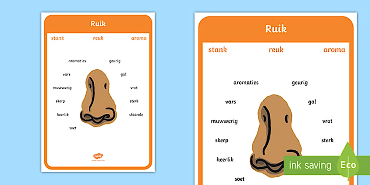 Ruik Woordeskat Vertoon Plakkate (teacher made) - Twinkl