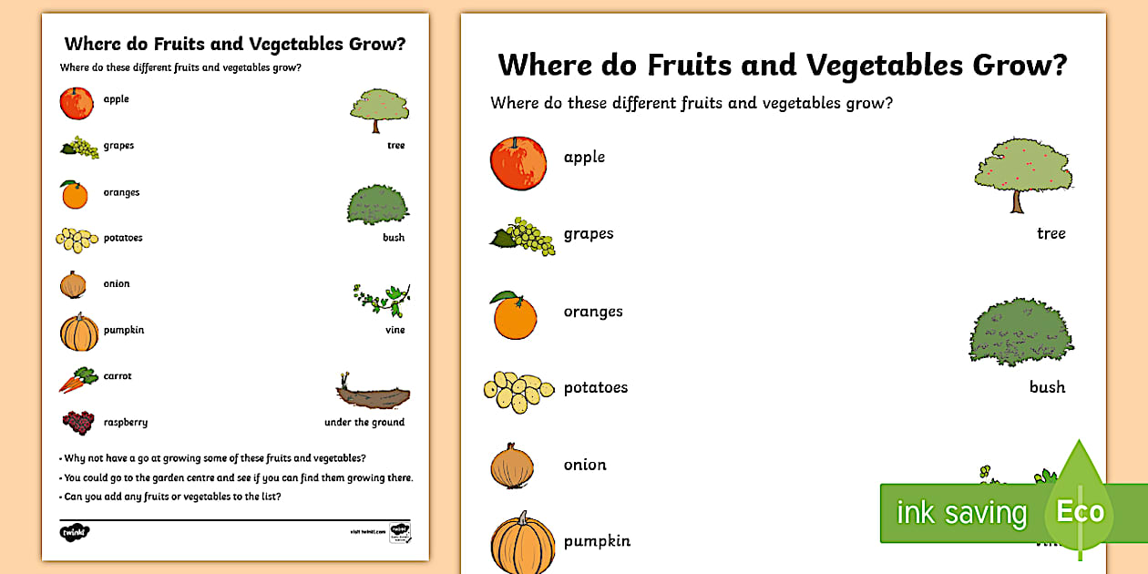 Preschool | Fruits and Vegetables Worksheets (teacher made)