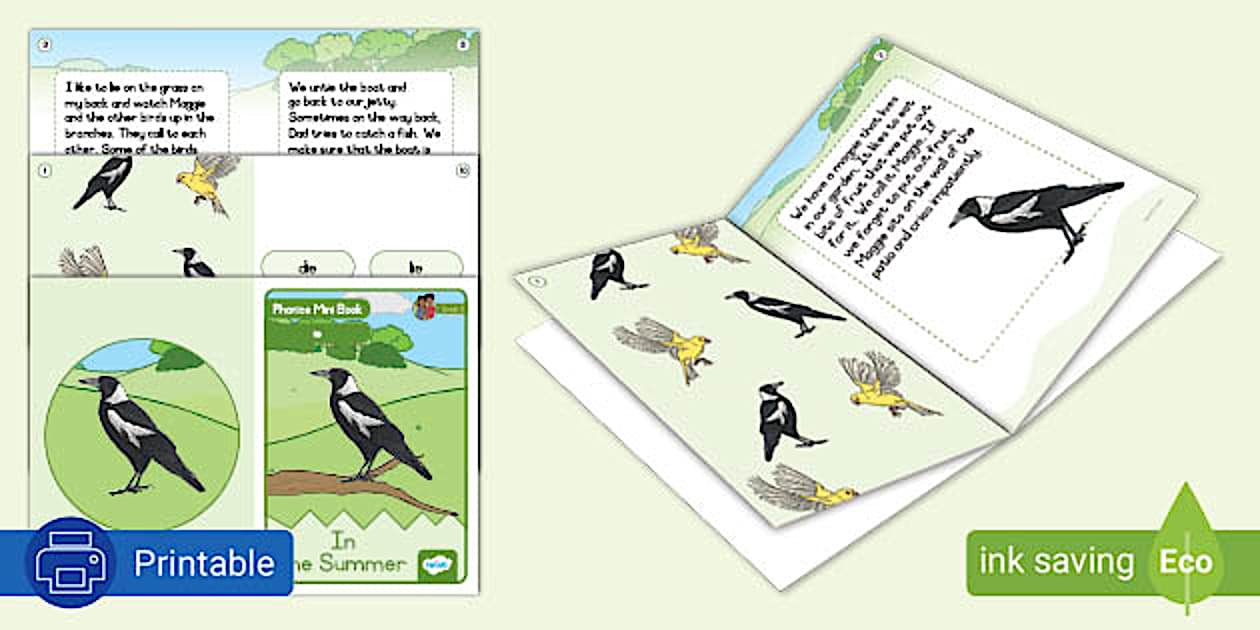 Grade 3 Phonics Mini Book ie (teacher made) - Twinkl