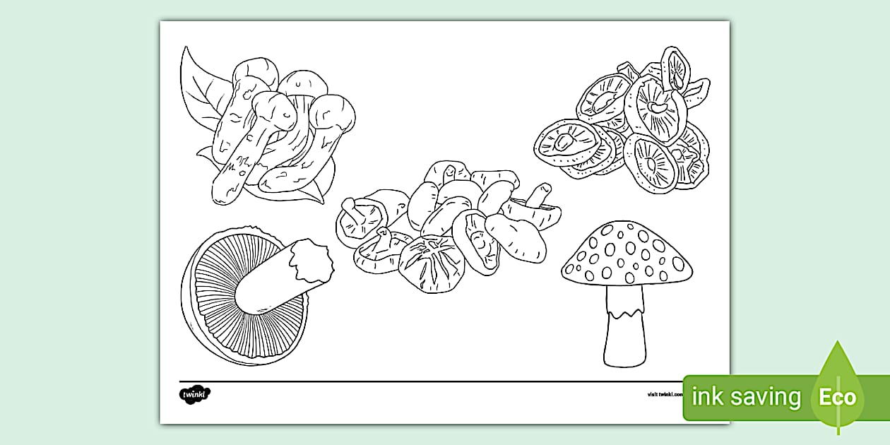 Mushrooms Colouring Page, Mushroom, Mushrooms (Teacher-Made)