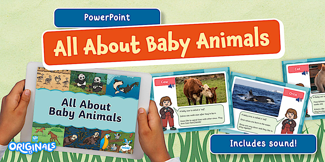 EYFS All About Baby Animals PowerPoint with Sound