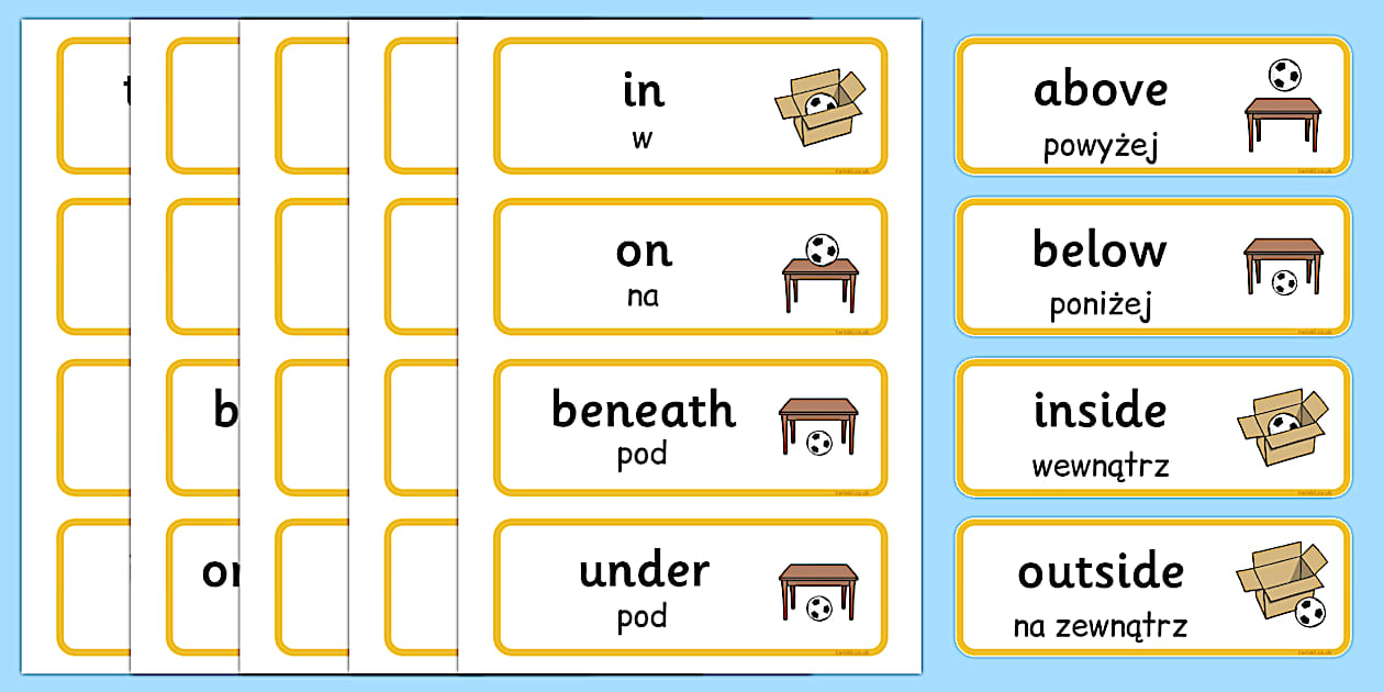 Positional Vocabulary cards Polish Translation - Twinkl
