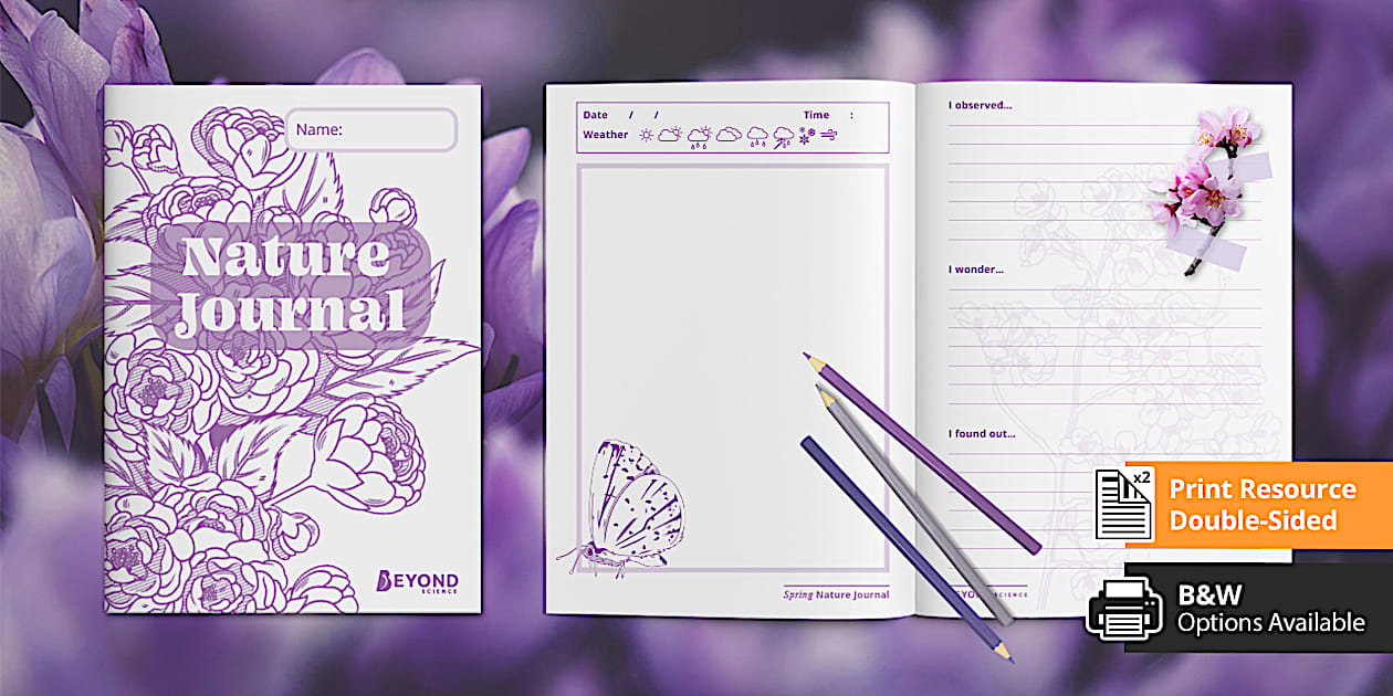 Spring Nature Journal (Teacher-Made) - Twinkl