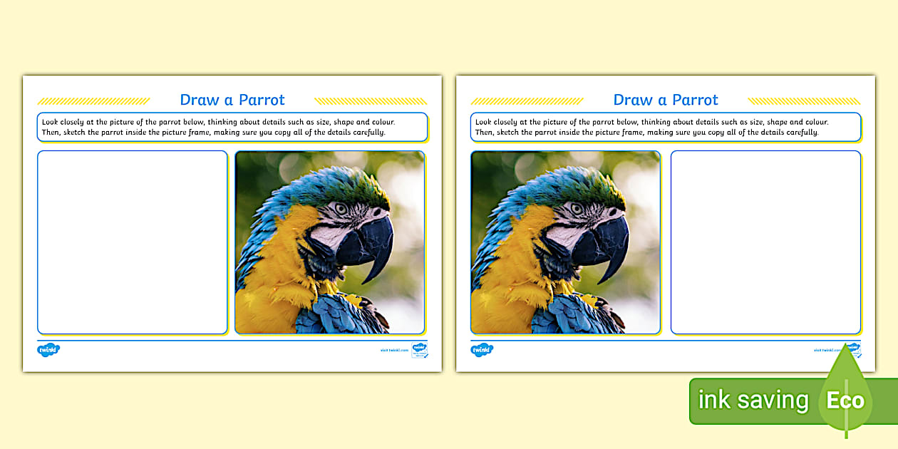 Draw a Parrot Art Activity,parrot (teacher made) - Twinkl