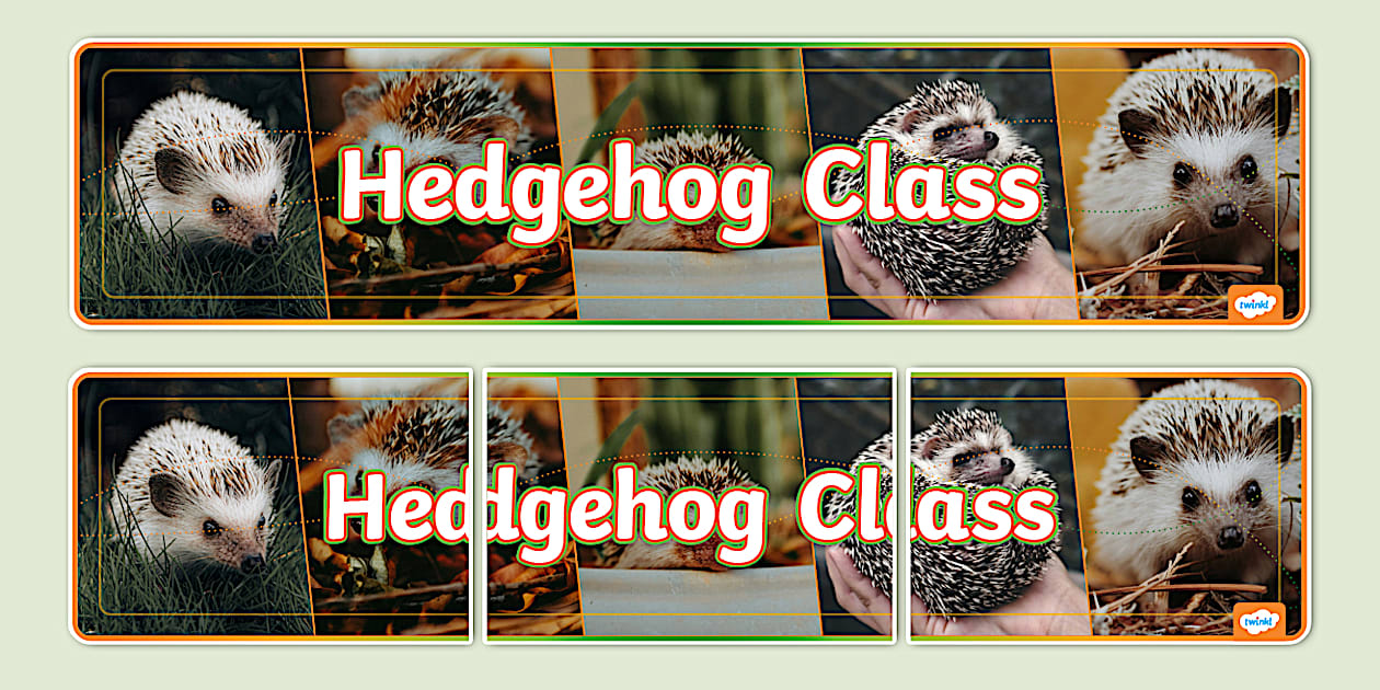 Hedgehog Class Photo Display Banner (Teacher-Made) - Twinkl