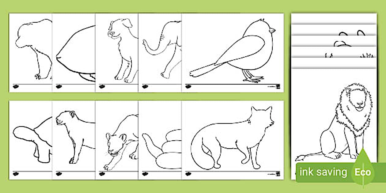 Animal Outline Templates - Animal Outlines For Kids - Twinkl