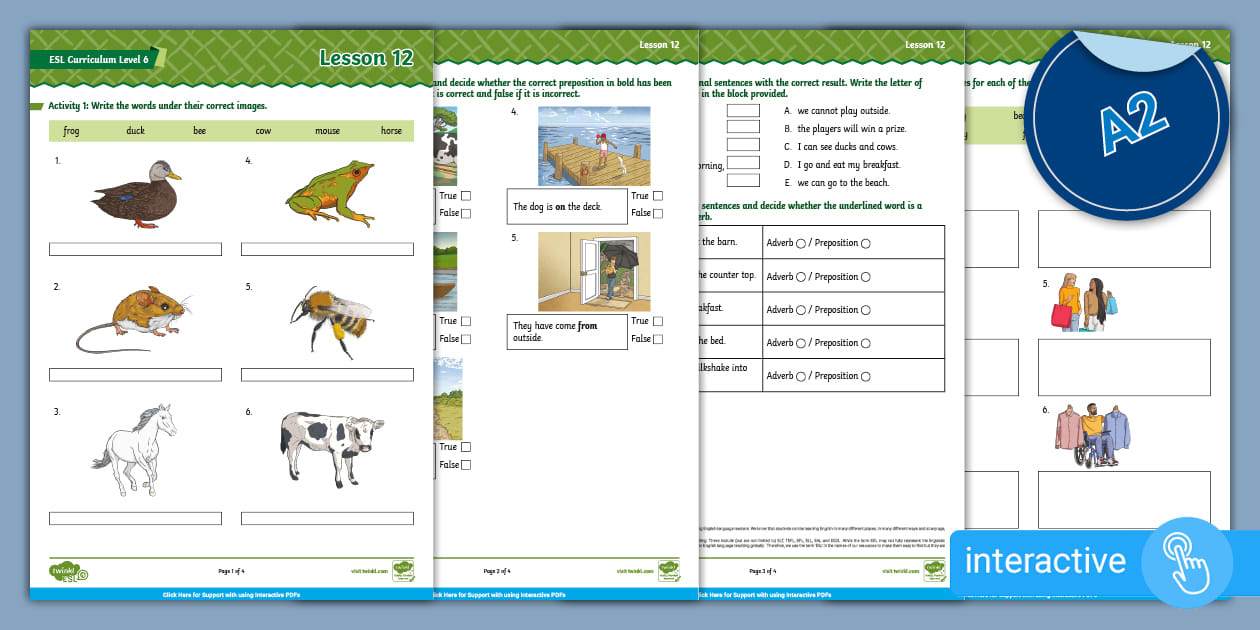 ESL Curriculum Level 6, Lesson 12 Interactive Worksheet