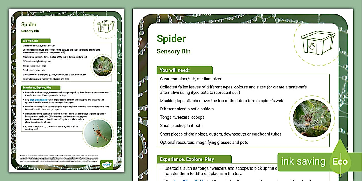 Spider Sensory Bin | Sensory Play | Twinkl (teacher made)
