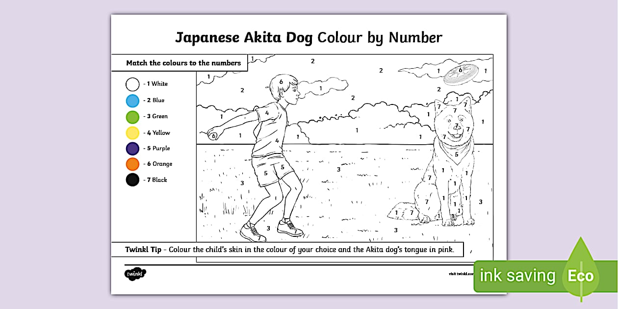 Japanese Akita Dog Colour by Number Activity (teacher made)