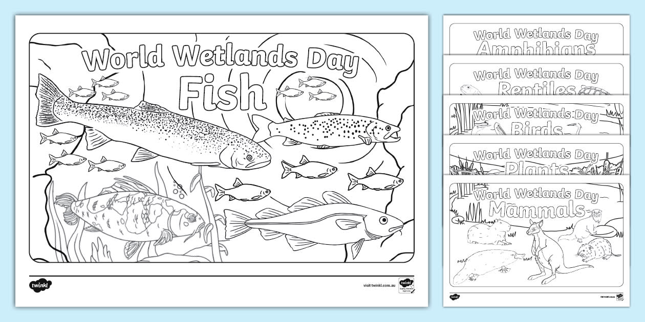 World Wetlands Day - Colouring Pages (teacher made) - Twinkl